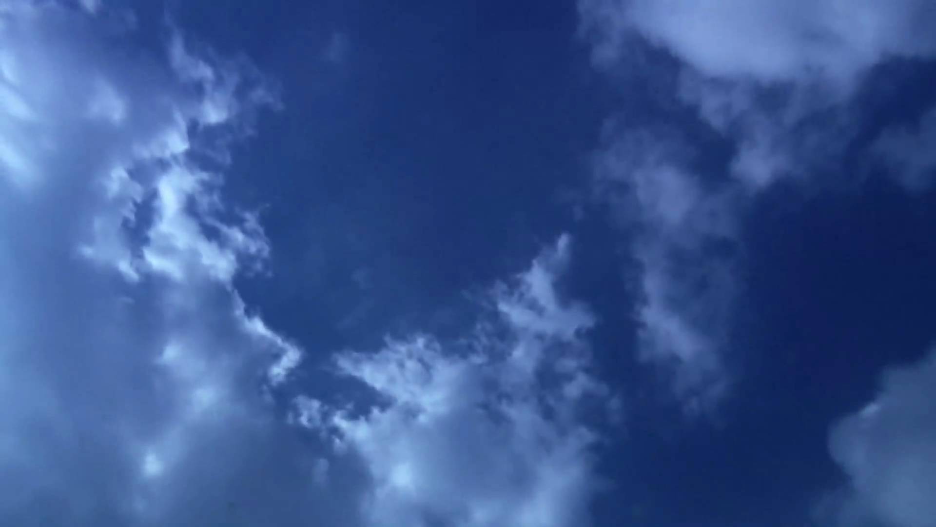 Swimming Into Winter by Freya Manfred | Moving Poems