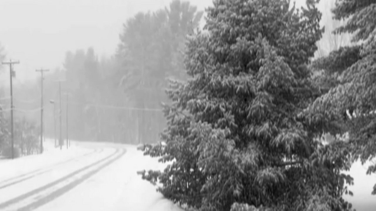 The Snow Man by Wallace Stevens | Moving Poems