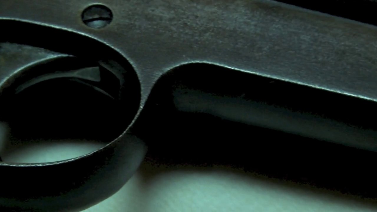 The Gun by Vicki Feaver | Moving Poems