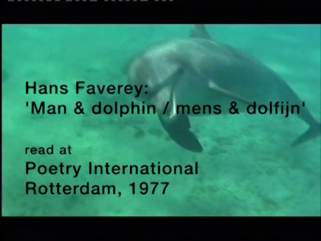 Dolphin Poems Quotes