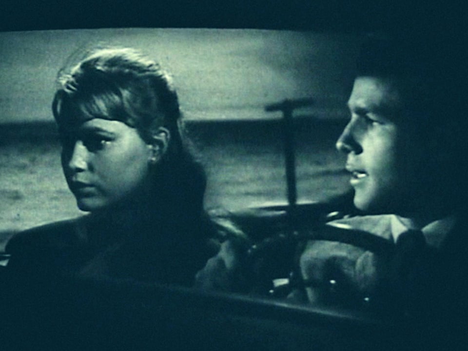 Peyton Place: A Haiku Soap Opera by David Trinidad | Moving Poems