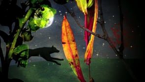 Dog by Richard Scott | Moving Poems